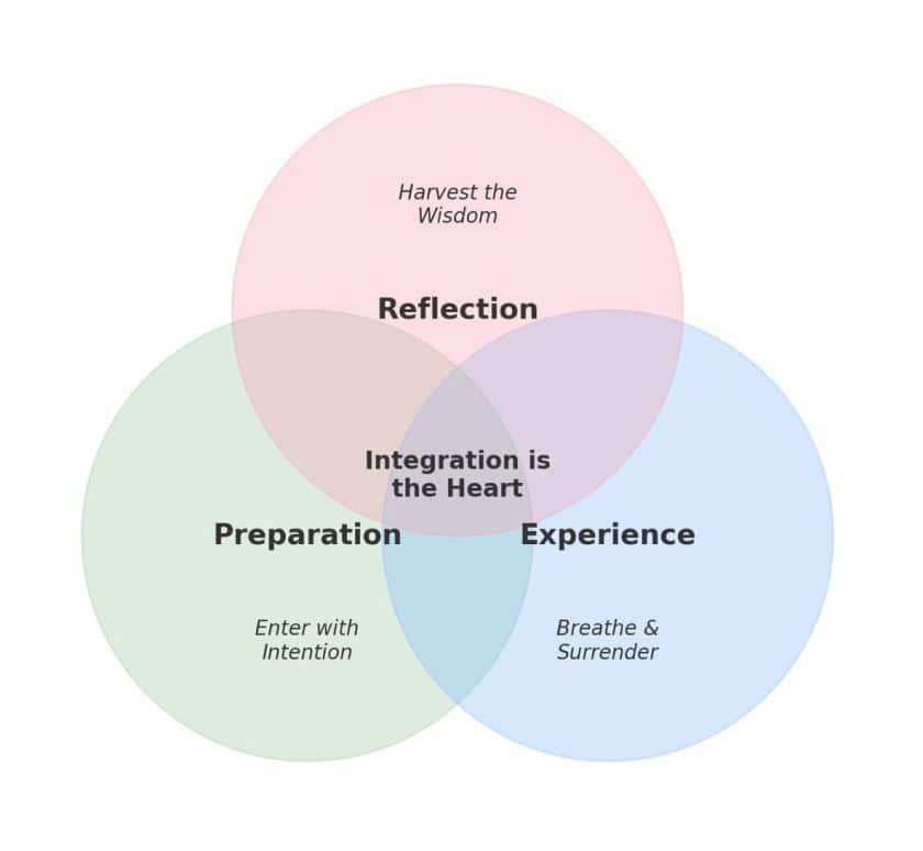 The Process of Integration - Preparation, Experience & Reflection ...